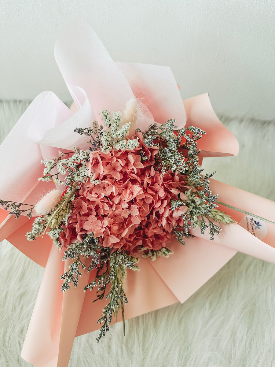 Preserved Coral Pink Hydrangea – The Flower Tale